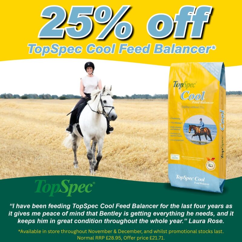 Top Quality Animal Feed for Farm & Stable